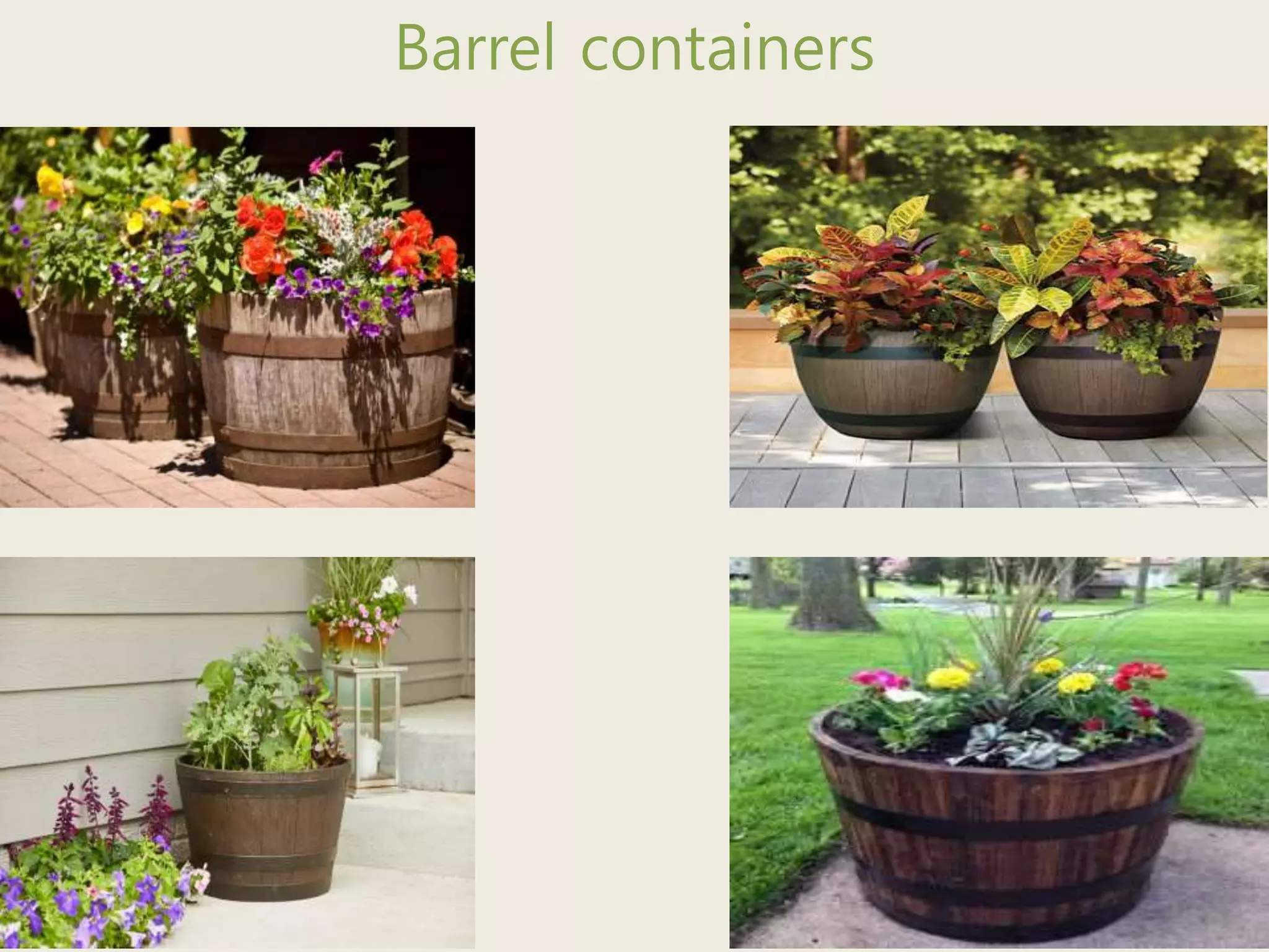 PLANT CONTAINERS AND NURSERY EQUIPMENTS | PPTX | Gardening | Home & Garden