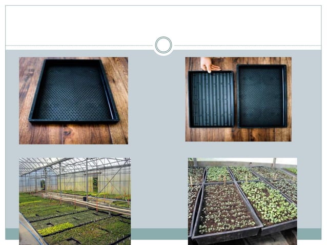 PLANT CONTAINERS AND NURSERY EQUIPMENTS | PPTX | Gardening | Home & Garden