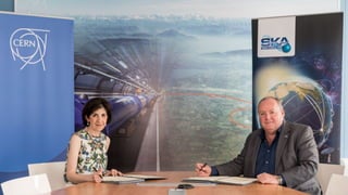 Containers on Baremetal and Preemptible VMs at CERN and SKA | PPT