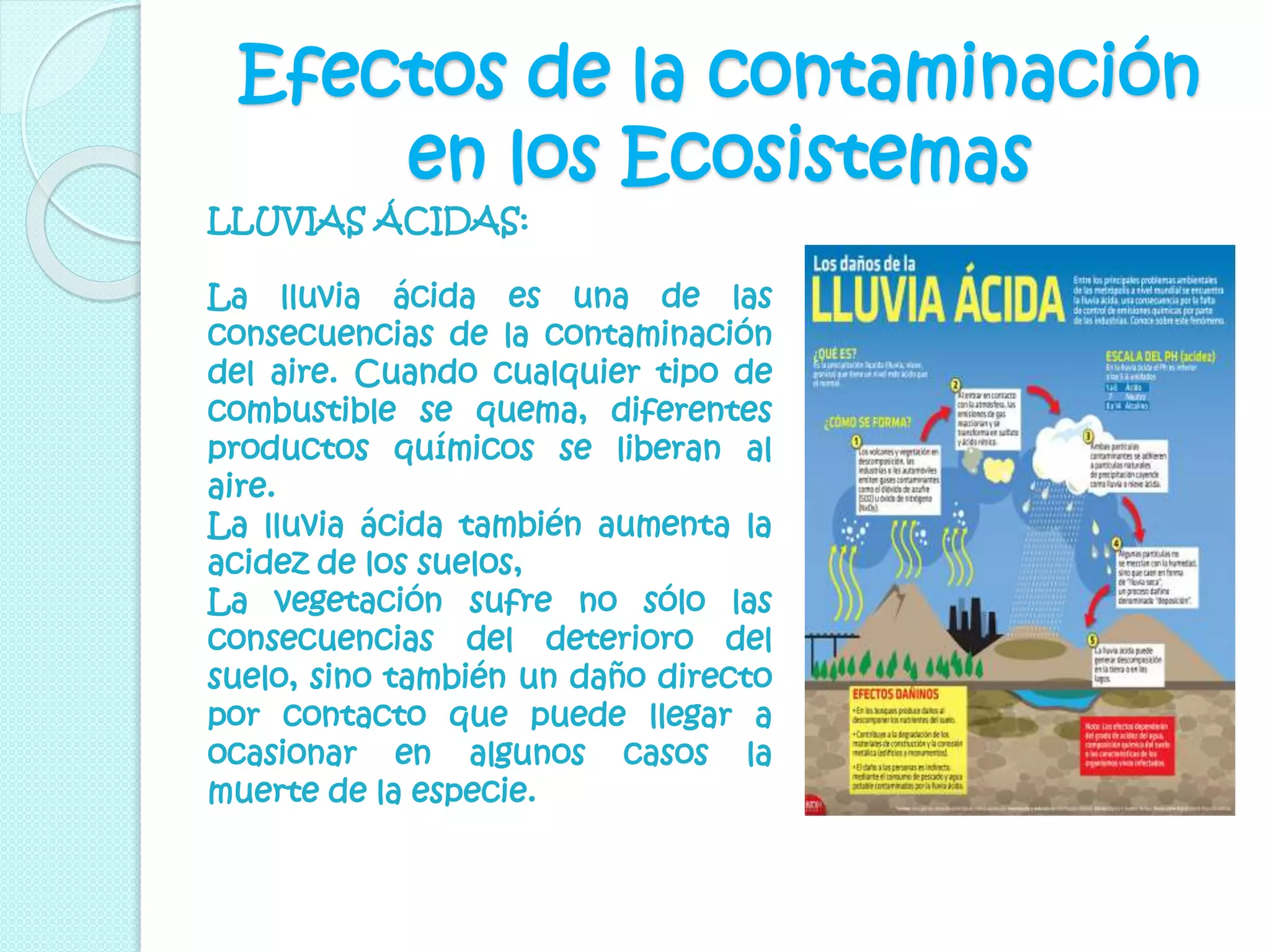 Contaminación ambiental | PPT