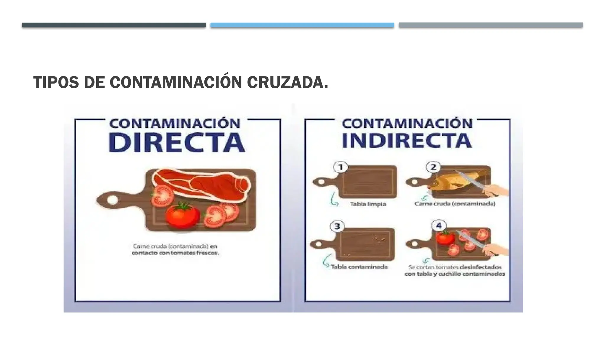 Contaminación Cruzada y como evitarla dentro de una emprasa de ...