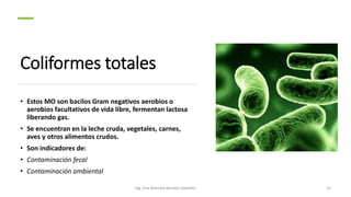 Contaminación de los Alimentos AMBZ.pptx