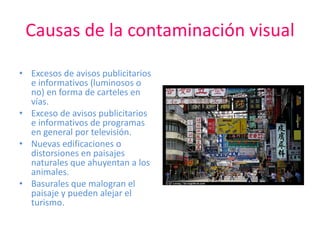 ContaminacióN Visual | PPTX