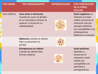 Contaminacion biologica | PPT