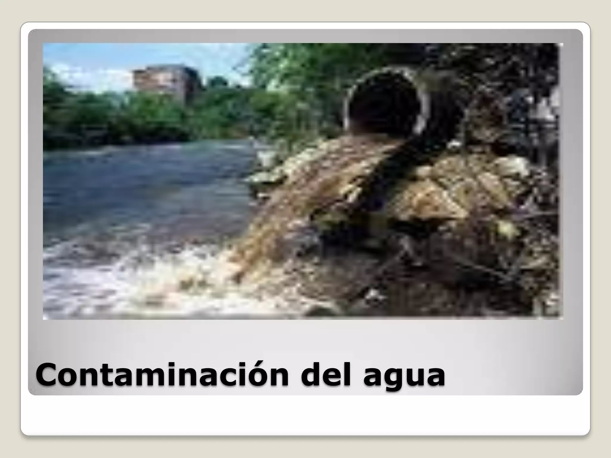 Contaminacion del agua[1] | PPTX