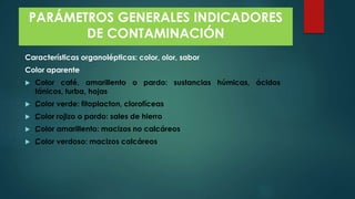 Contaminacion del agua y sus efectos | PPTX