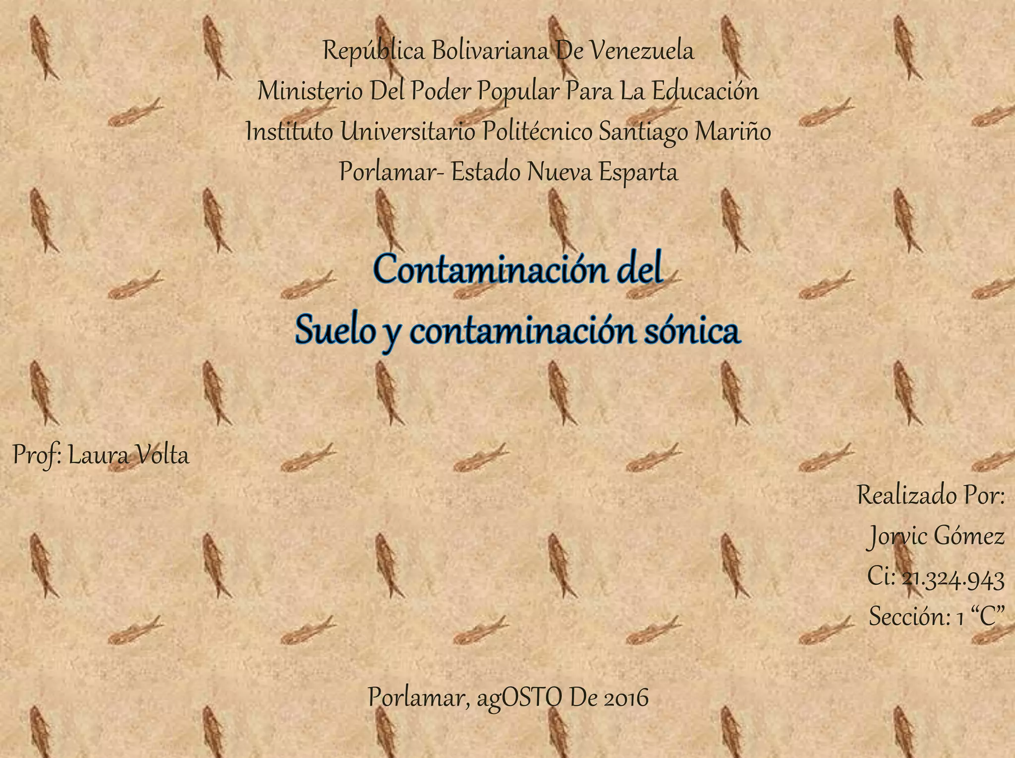 Contaminacion Del Suelo Y Sonica Ppt