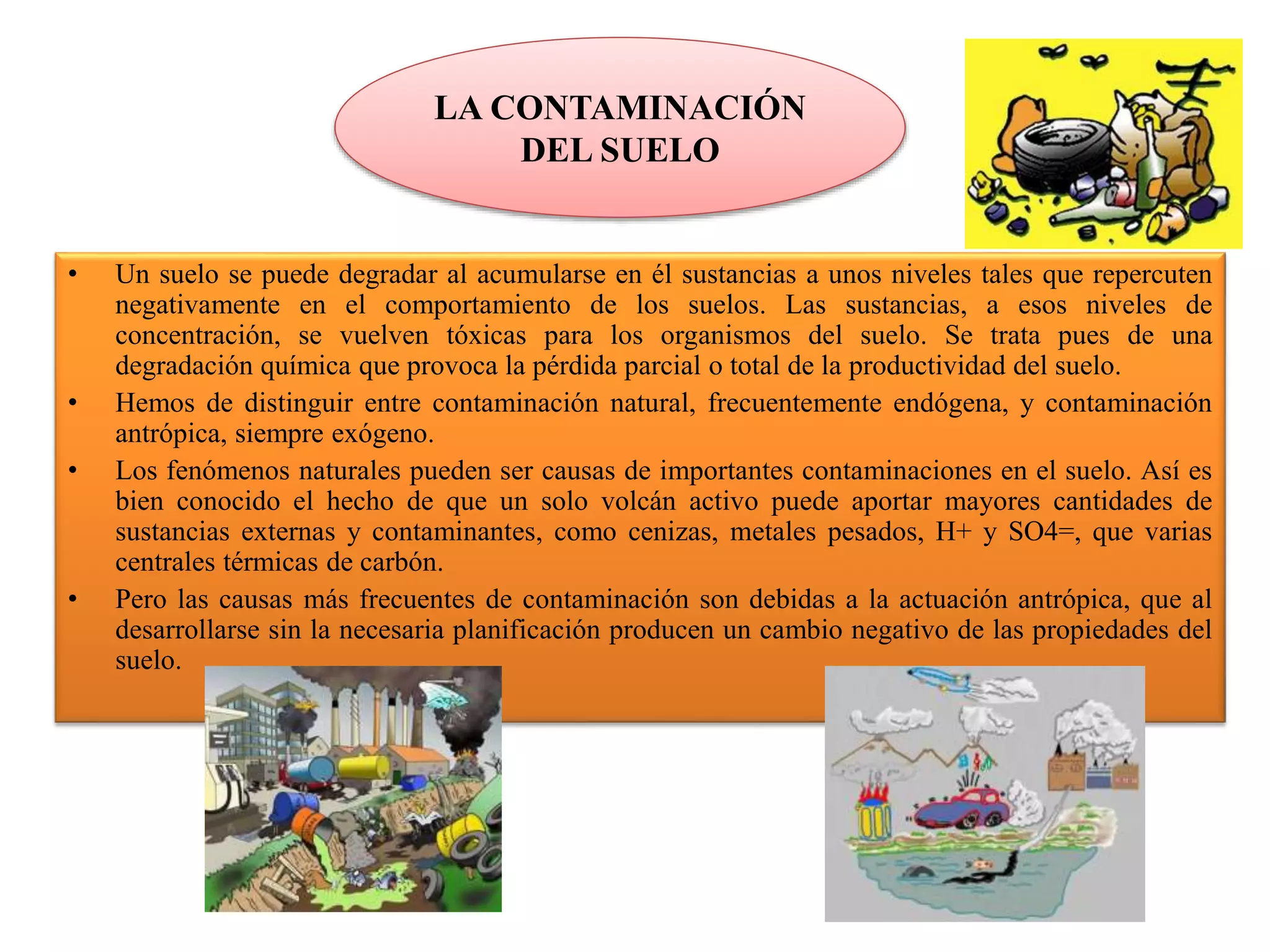 Contaminacion de suelo | PPTX