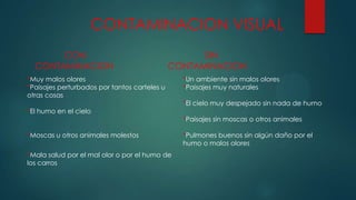 Contaminacion visual | PPTX