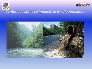 Contaminacion y su impacto al medio ambiente | PPTX