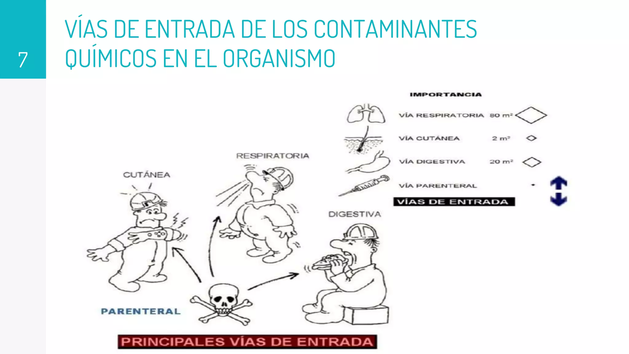 Contaminantes quimicos | PPTX