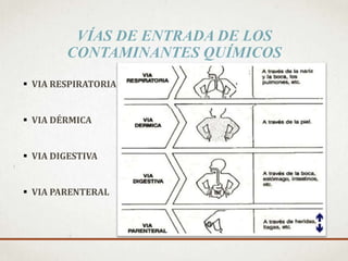 Contaminantes quimicos | PPTX