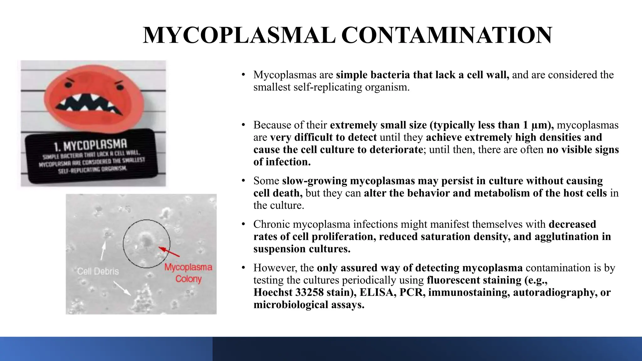 CONTAMINANTS IN CELL CULTURE & PRECAUTIONS.pptx