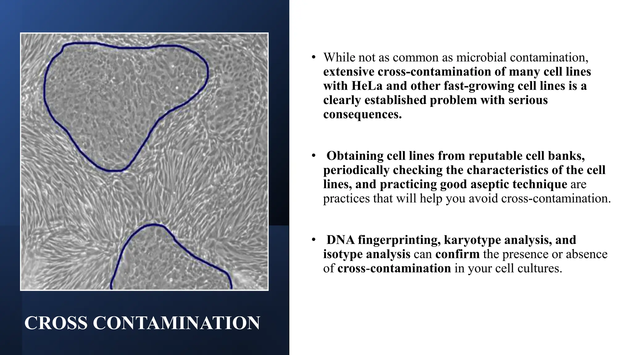 CONTAMINANTS IN CELL CULTURE & PRECAUTIONS.pptx