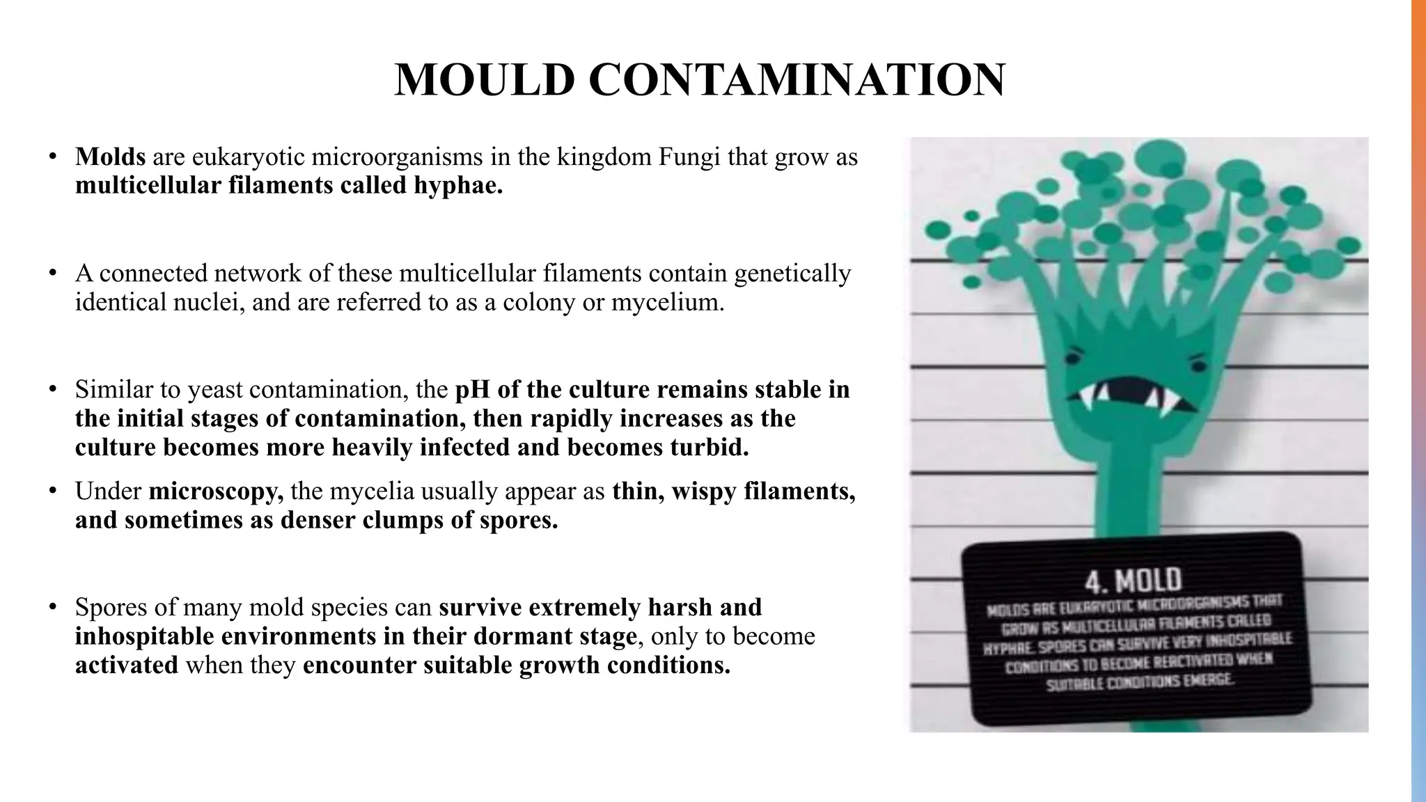 CONTAMINANTS IN CELL CULTURE & PRECAUTIONS.pptx