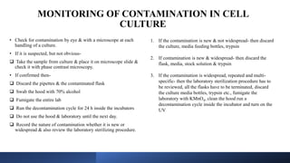 CONTAMINANTS IN CELL CULTURE & PRECAUTIONS.pptx | Infectious Diseases ...