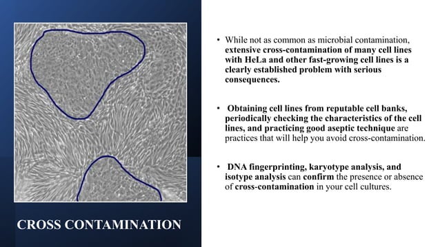 CONTAMINANTS IN CELL CULTURE & PRECAUTIONS.pptx | Infectious Diseases ...