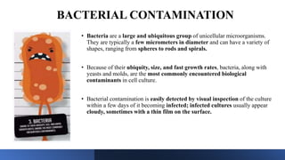 CONTAMINANTS IN CELL CULTURE & PRECAUTIONS.pptx