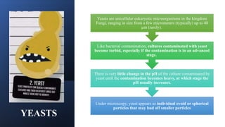 CONTAMINANTS IN CELL CULTURE & PRECAUTIONS.pptx