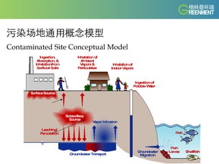 Contaminated Site Management | PDF
