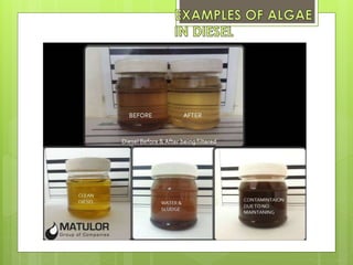 Fuel Tank Contamination | PPT