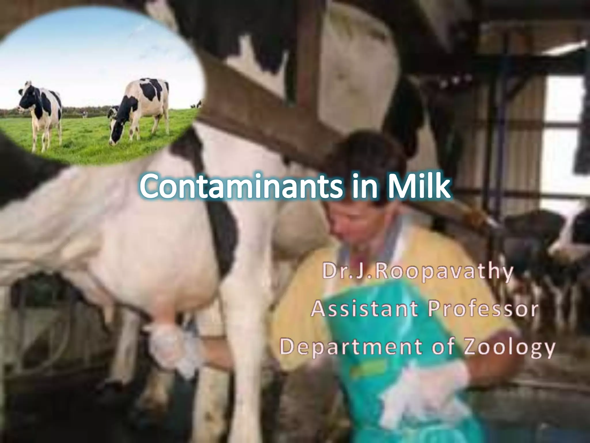 Contamination in milk/ Source of contamination in milk | PPTX