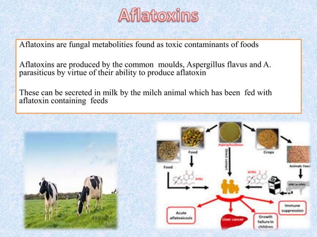 Contamination in milk/ Source of contamination in milk | PPTX