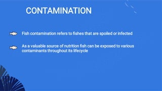 contamination of fish(1) 2.pptx food micro | PPT