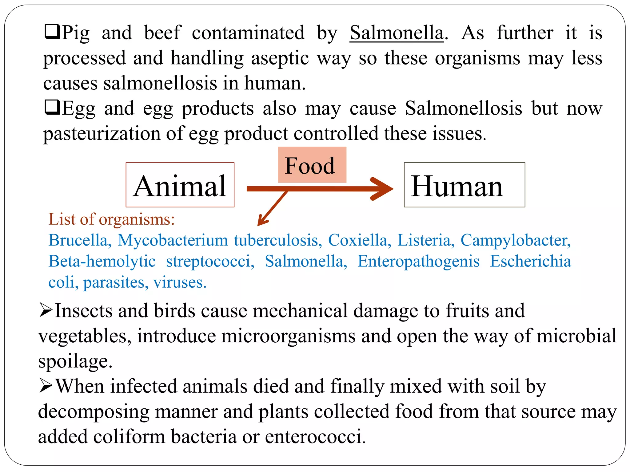 Contamination of food.pptx