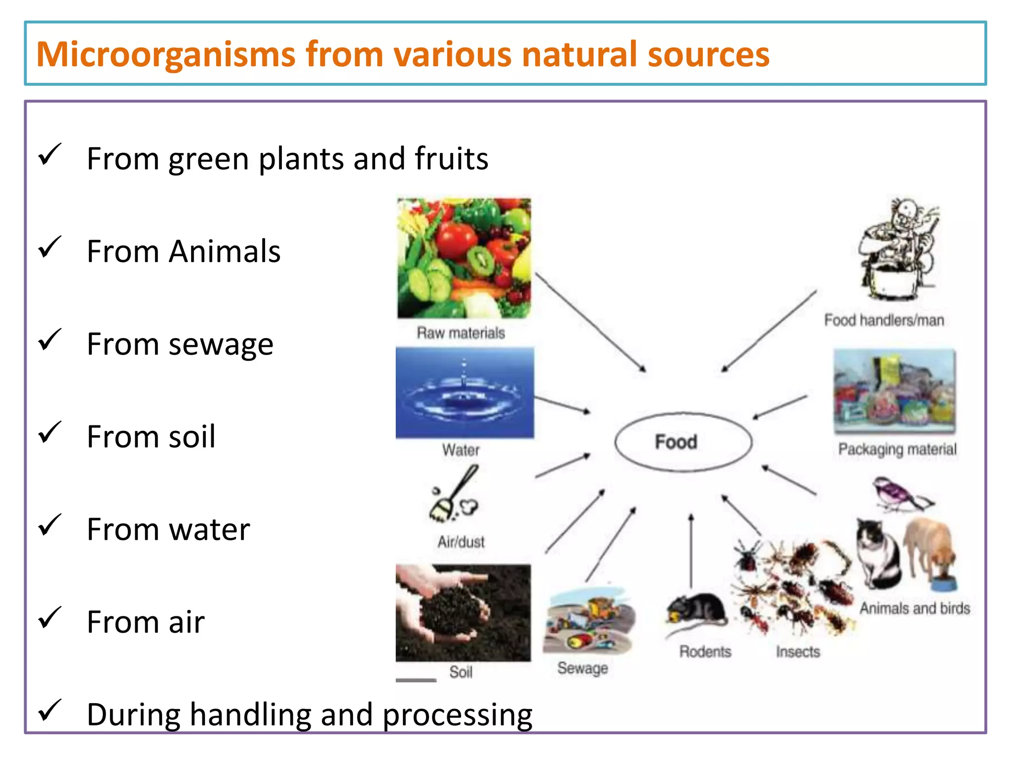 Contamination of foods | PPTX