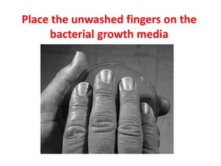 Contamination of hands | PPTX