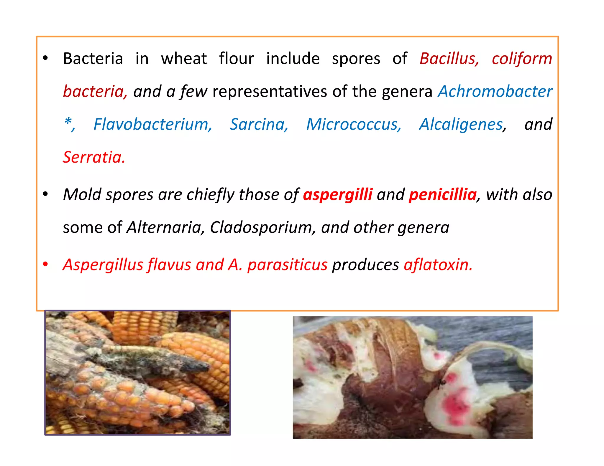 Contamination, preservation, and spoilage of cereals | PDF