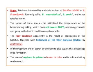 Contamination, preservation, and spoilage of cereals | PDF