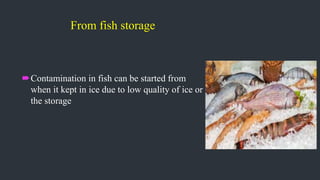 Contamination, preservation, & spoilage of fish | PPTX