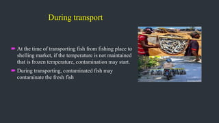 Contamination, preservation, & spoilage of fish | PPTX