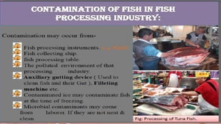 Contamination, preservation, & spoilage of fish | PPTX