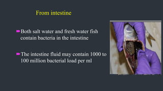 Contamination, preservation, & spoilage of fish | PPTX