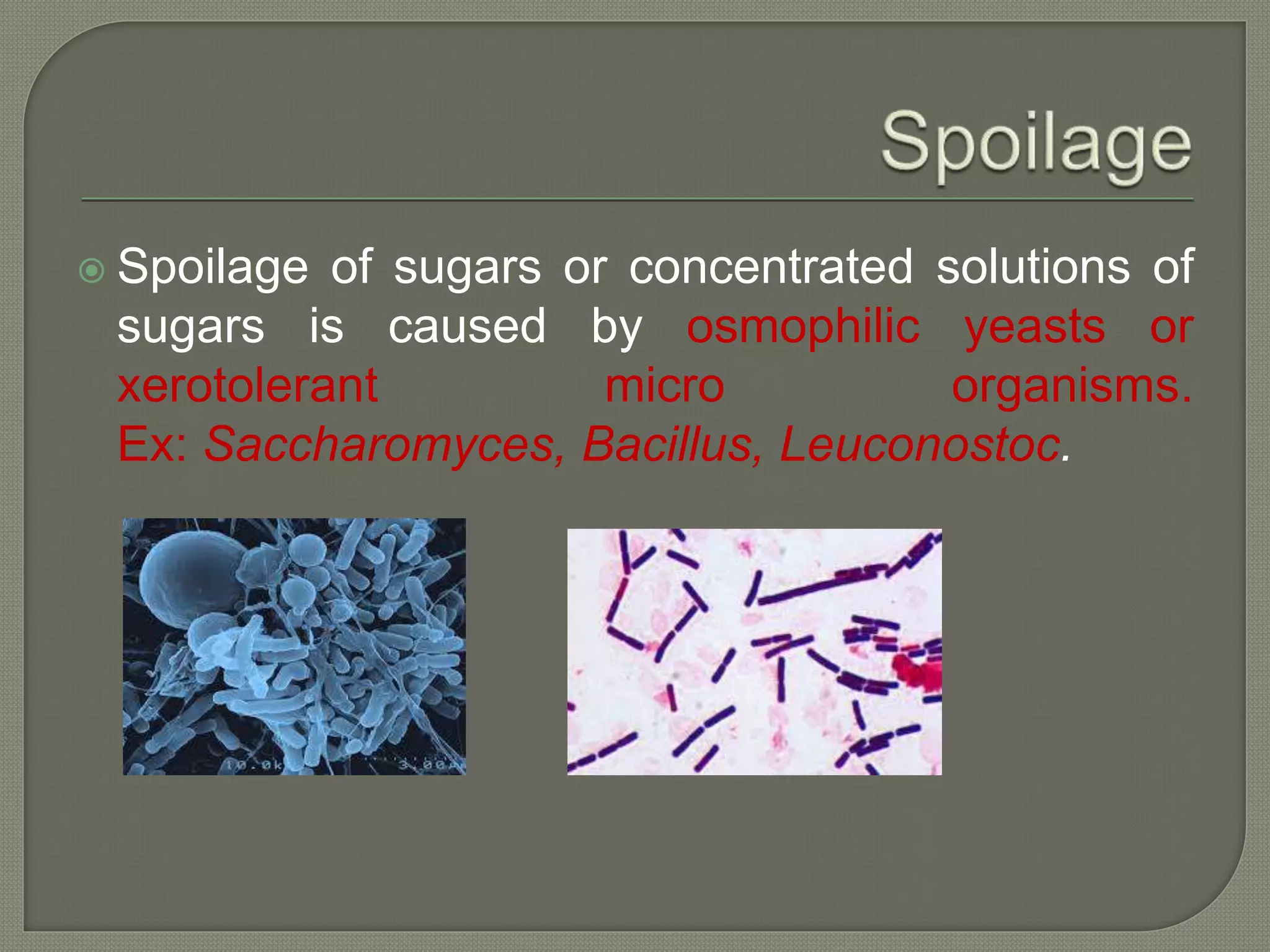 spoilage of sugar & sugar products | PPTX