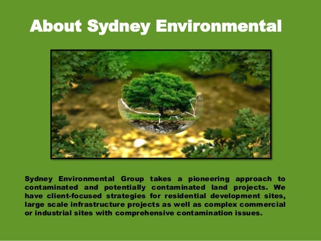Contamination report sydney | PPTX