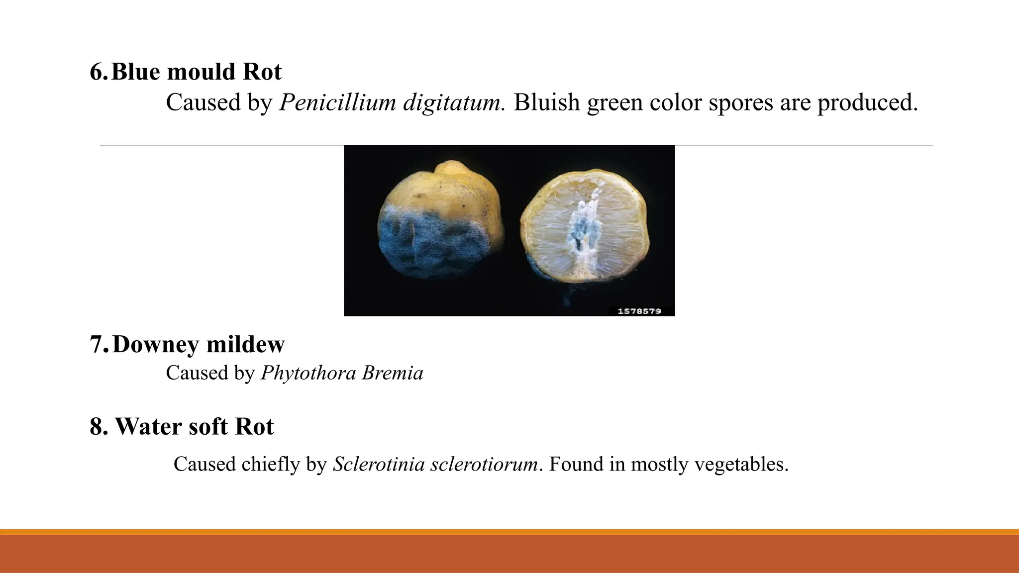 Contamination, spoilage and preservation | PPTX