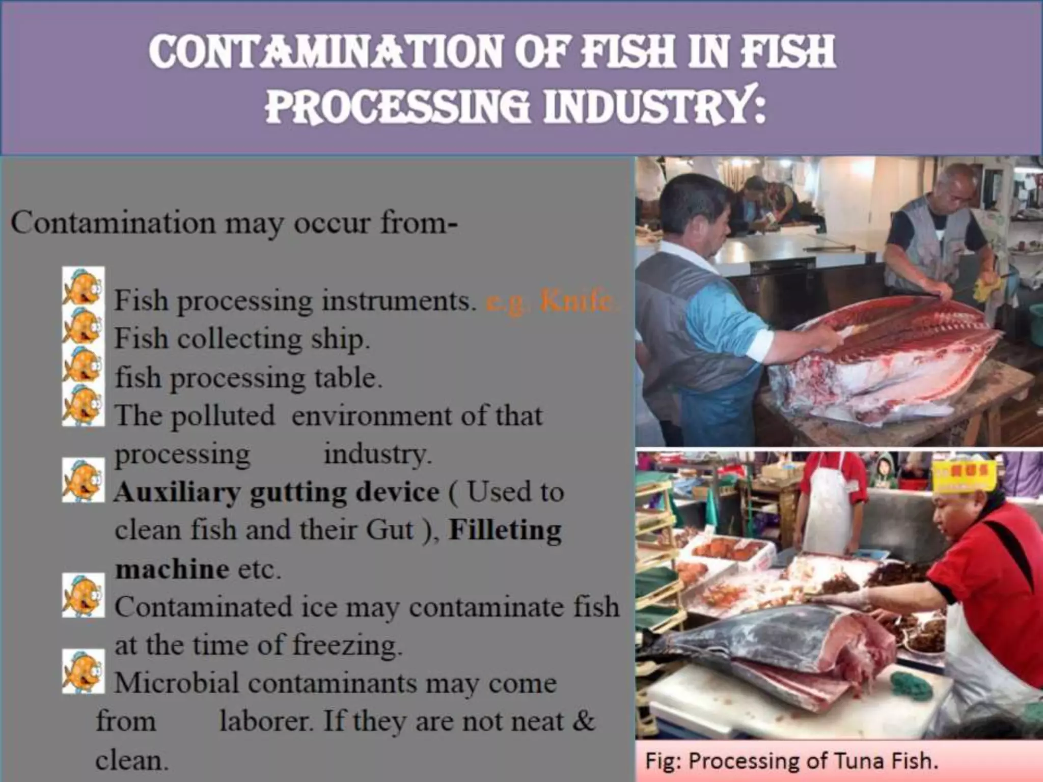 Contamination, spoilage & preservation of fish. | PPTX