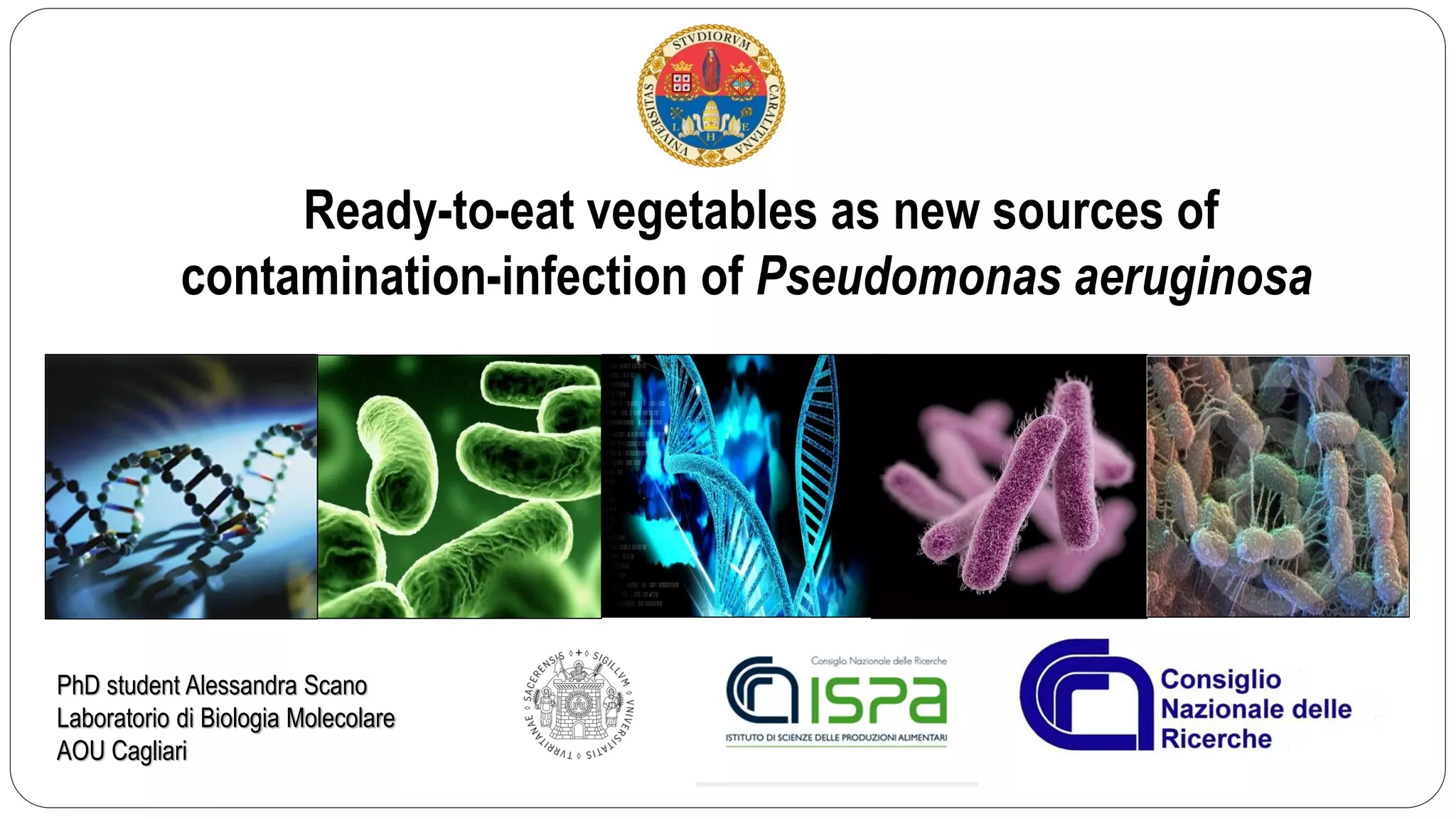 Ready-to-eat Vegetables as new sources of contamination-infection of ...