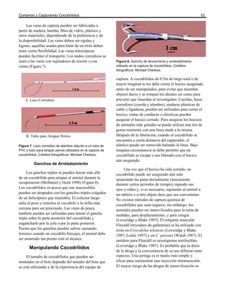 Contando y capturando cocodrilos | PDF