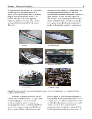 Contando y capturando cocodrilos | PDF