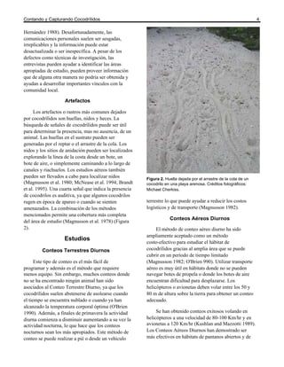 Contando y capturando cocodrilos | PDF