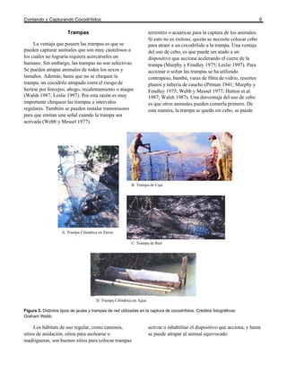 Contando y capturando cocodrilos | PDF