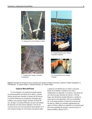 Contando y capturando cocodrilos | PDF
