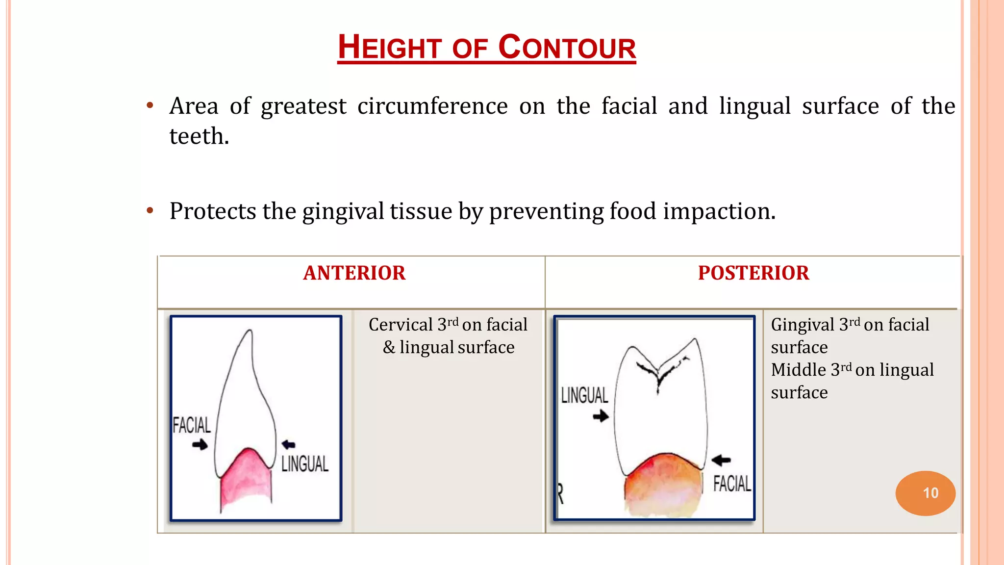 Contacts and contours | PPTX