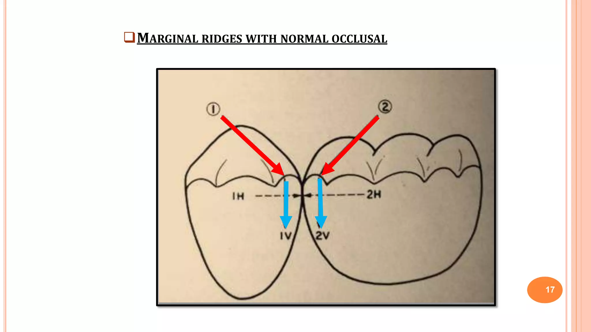Contacts and contours | PPTX