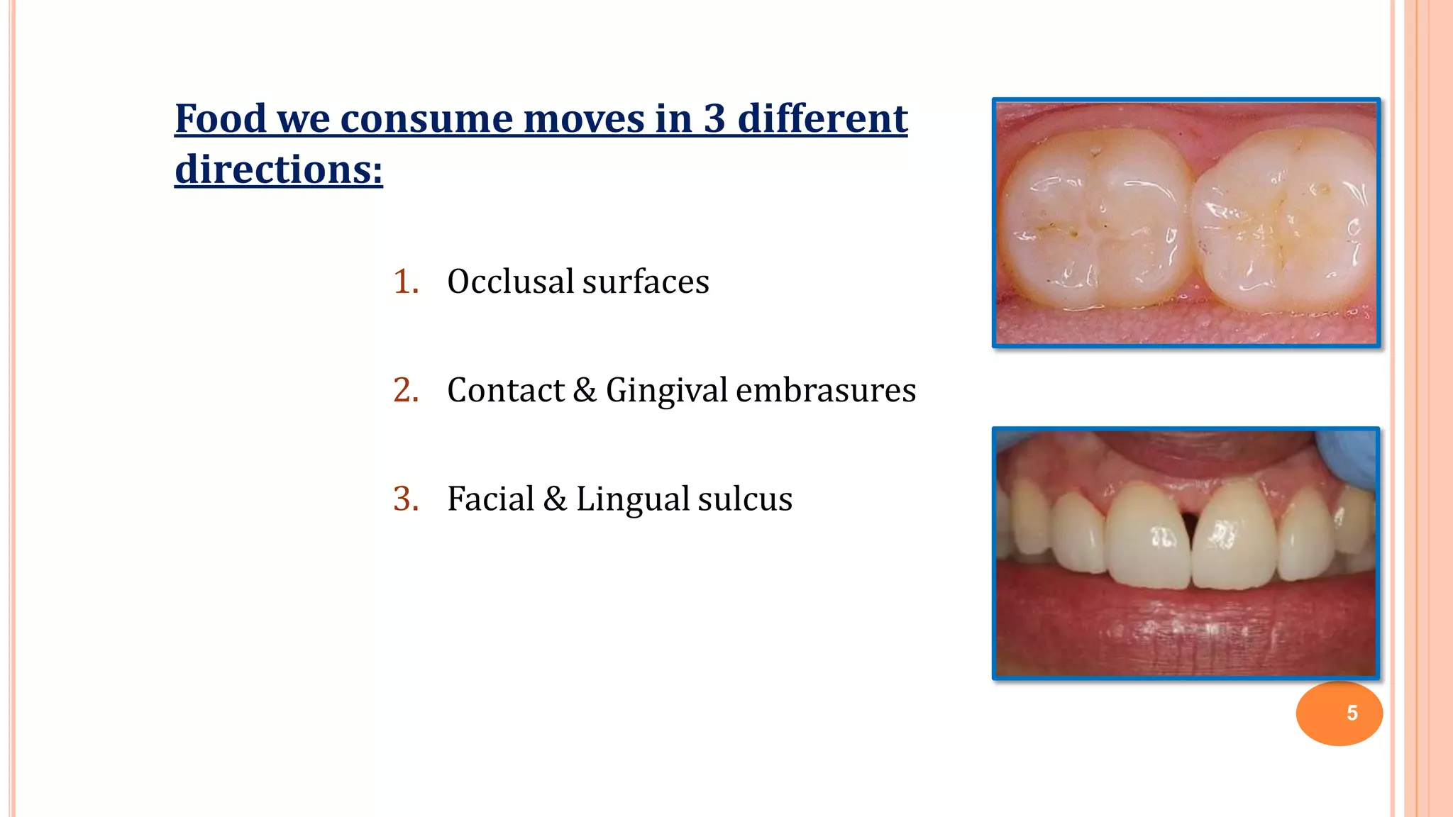 Contacts and contours | PPTX